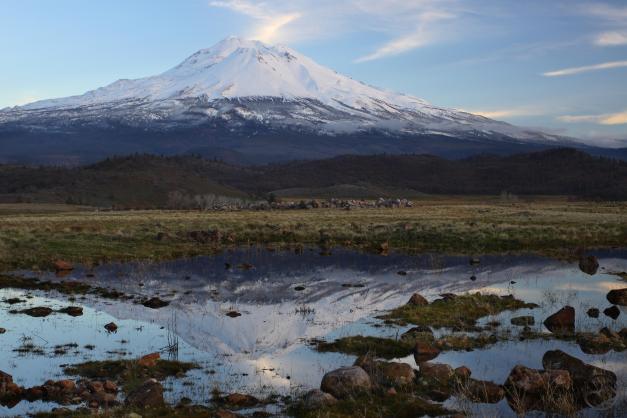 Mount Shasta 2014: A Year In Images | Hike Mt. Shasta