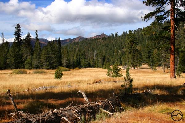 Deadfall Lakes Trail | Hike Mt. Shasta