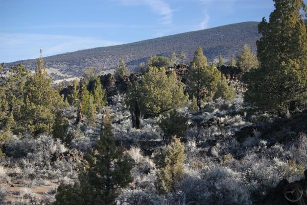 Pluto Cave Trail | Hike Mt. Shasta