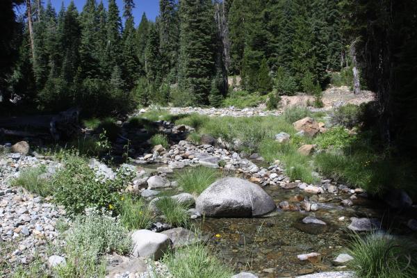 Tangle Blue Lake Trail | Hike Mt. Shasta