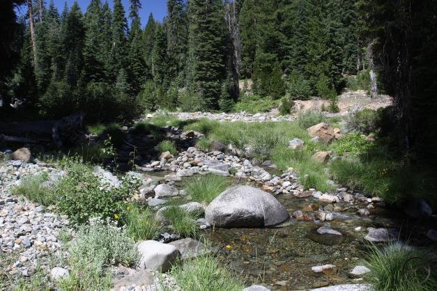Tangle Blue Lake Trail | Hike Mt. Shasta