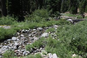 Tangle Blue Lake Trail | Hike Mt. Shasta
