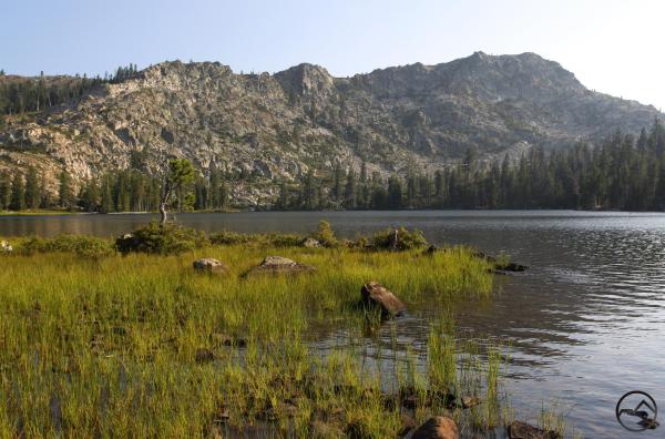 Tamarack Lake Trail | Hike Mt. Shasta