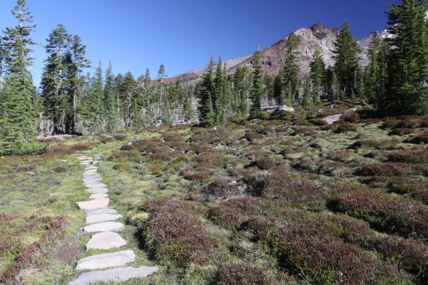 Panther Meadow Trail | Hike Mt. Shasta