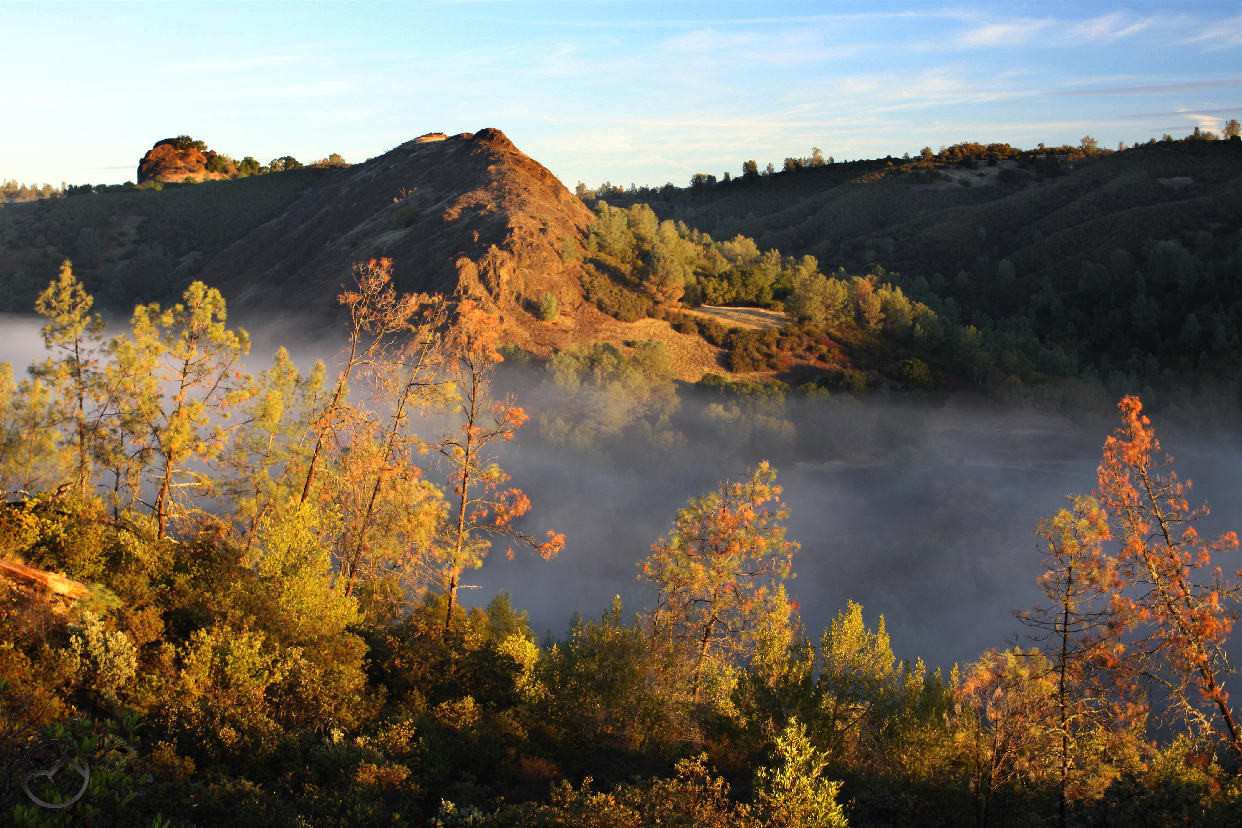 North Coast Range, Napa County, Cedar Roughs – Nov2014 023 (Custom ...