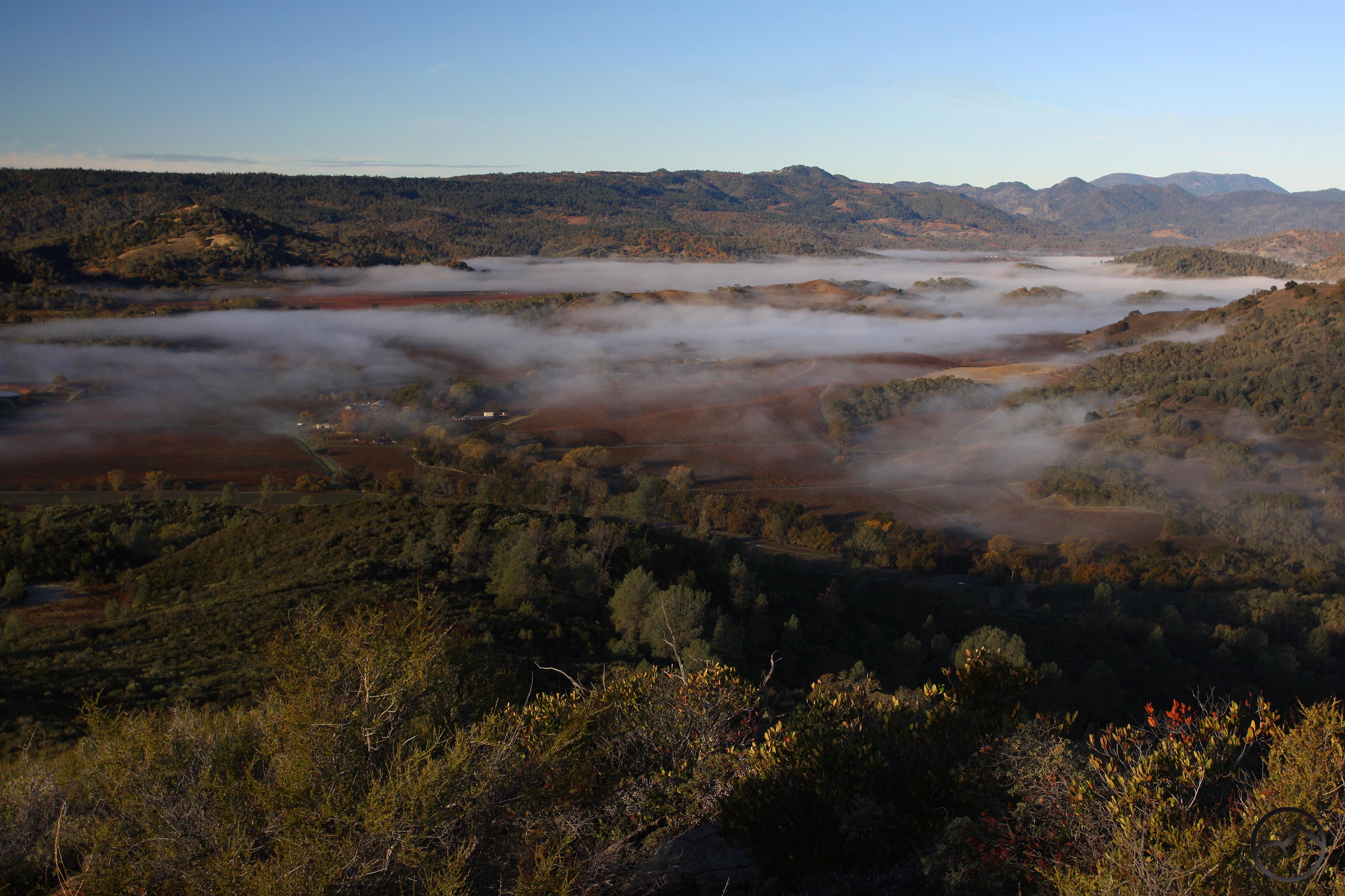 North Coast Range, Napa County, Cedar Roughs – Nov2014 042 (Custom ...