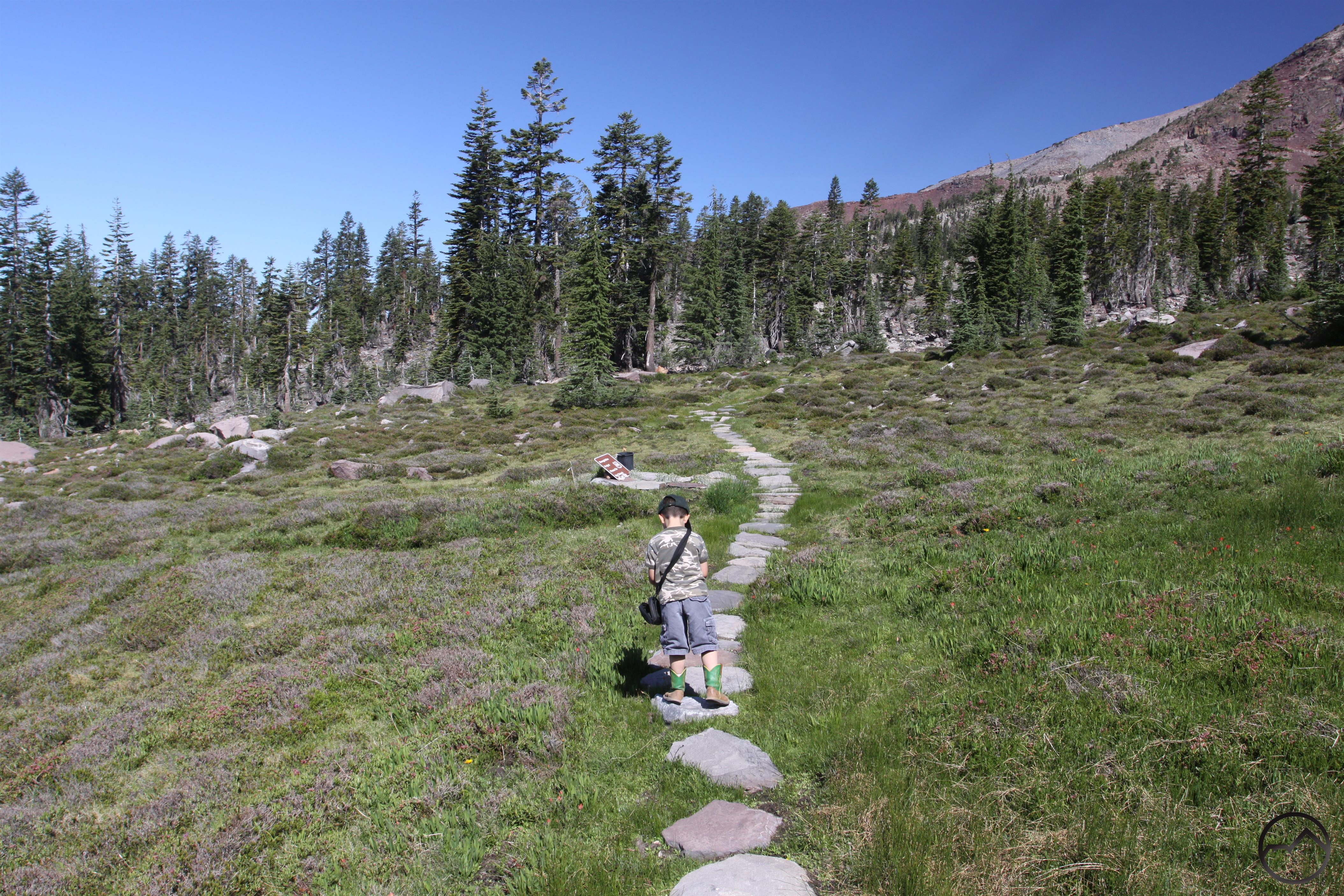 Panther Meadow | Hike Mt. Shasta