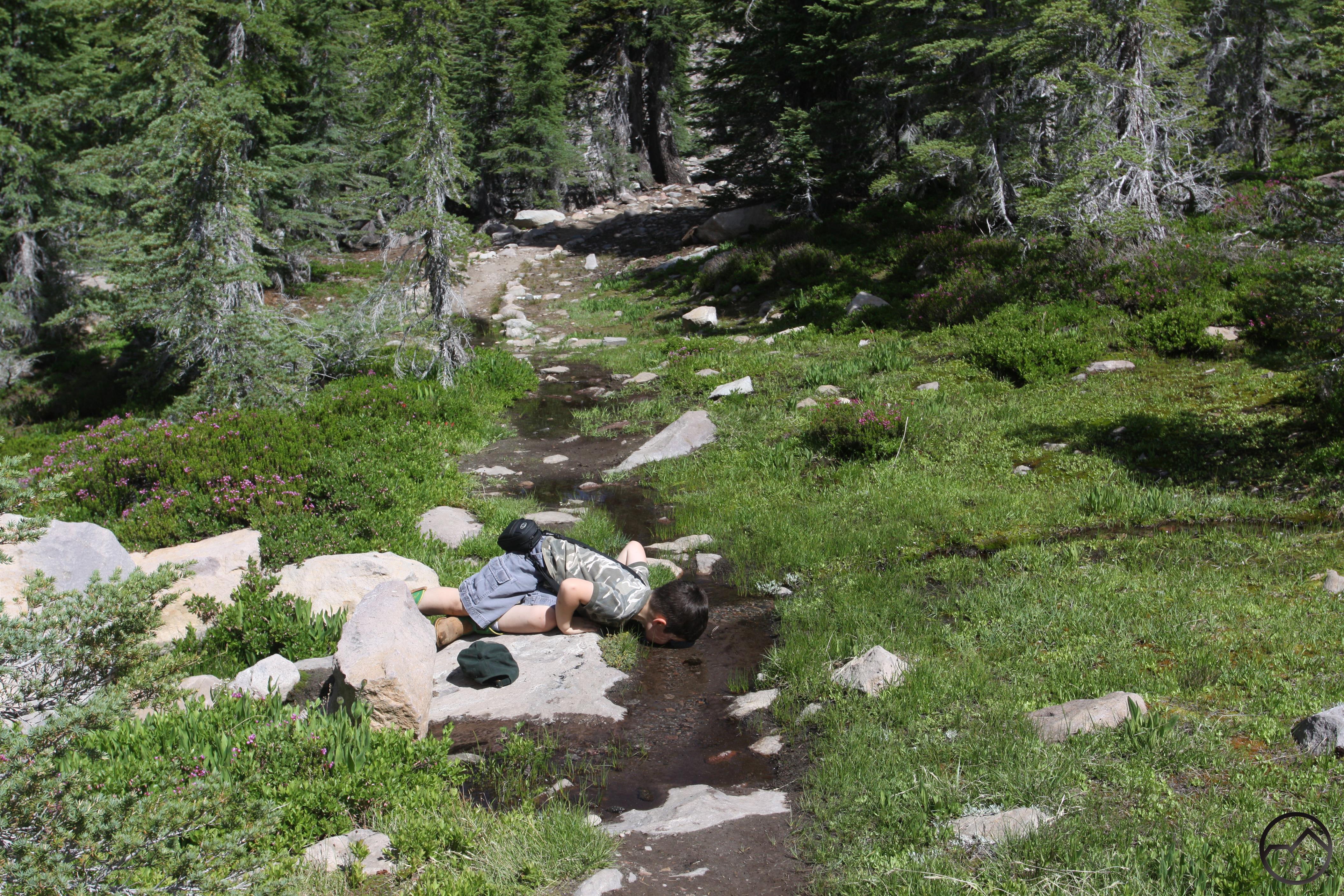 Panther Meadow | Hike Mt. Shasta
