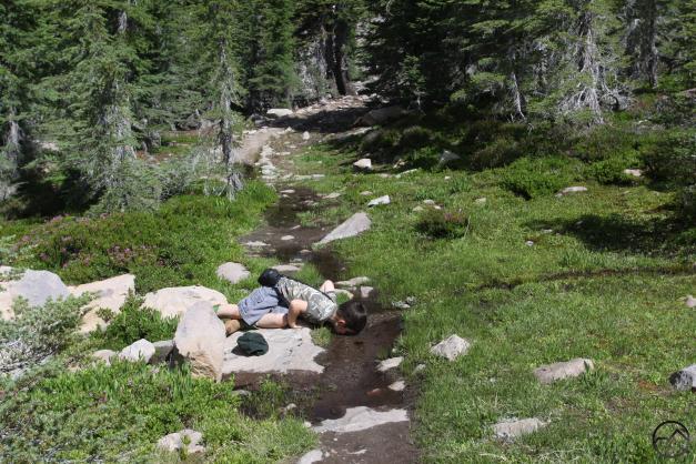 Panther Meadow | Hike Mt. Shasta