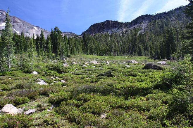 Panther Meadow | Hike Mt. Shasta