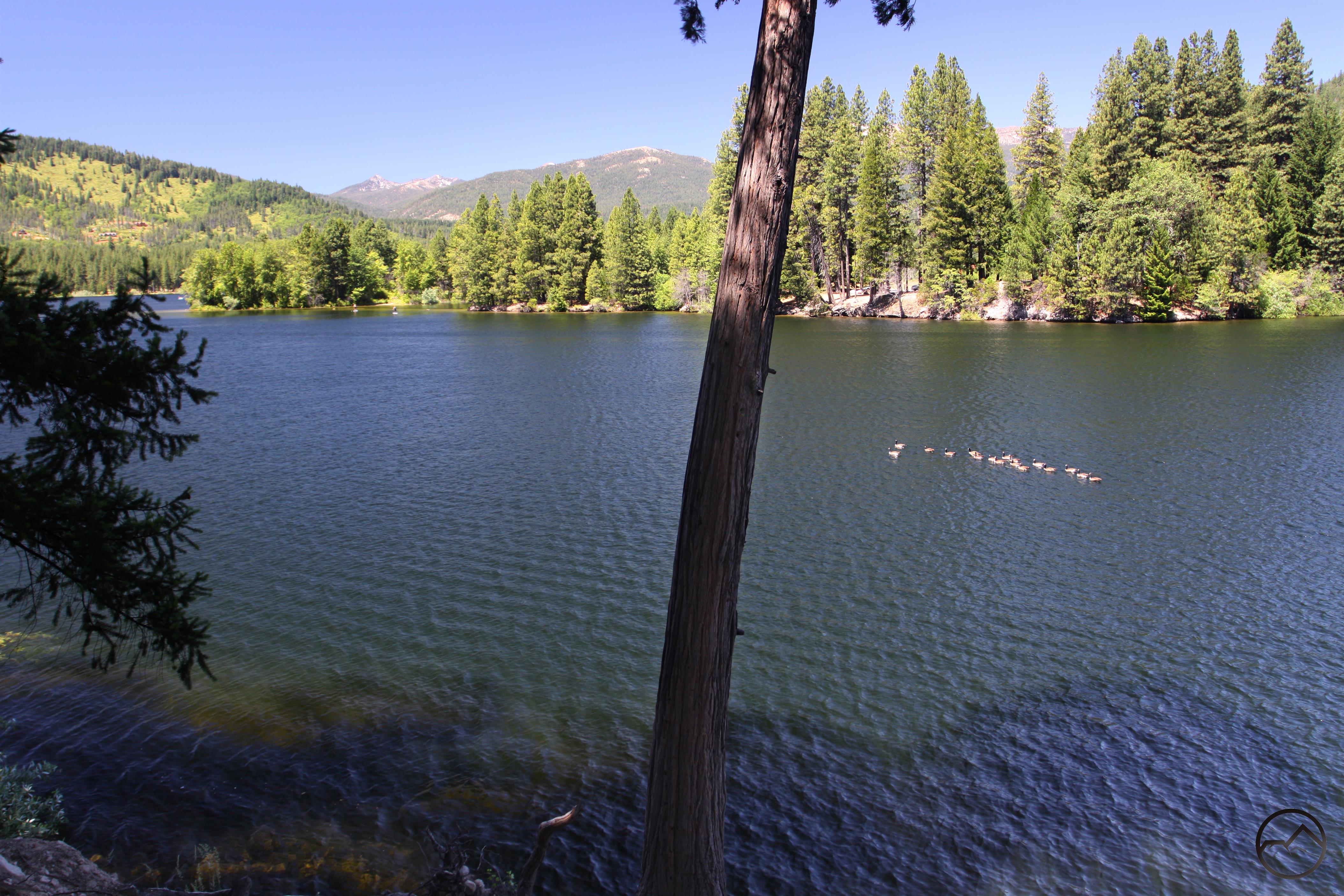 Trinity Divide, Lake Siskiyou – June2016 001 (Custom) | Hike Mt. Shasta