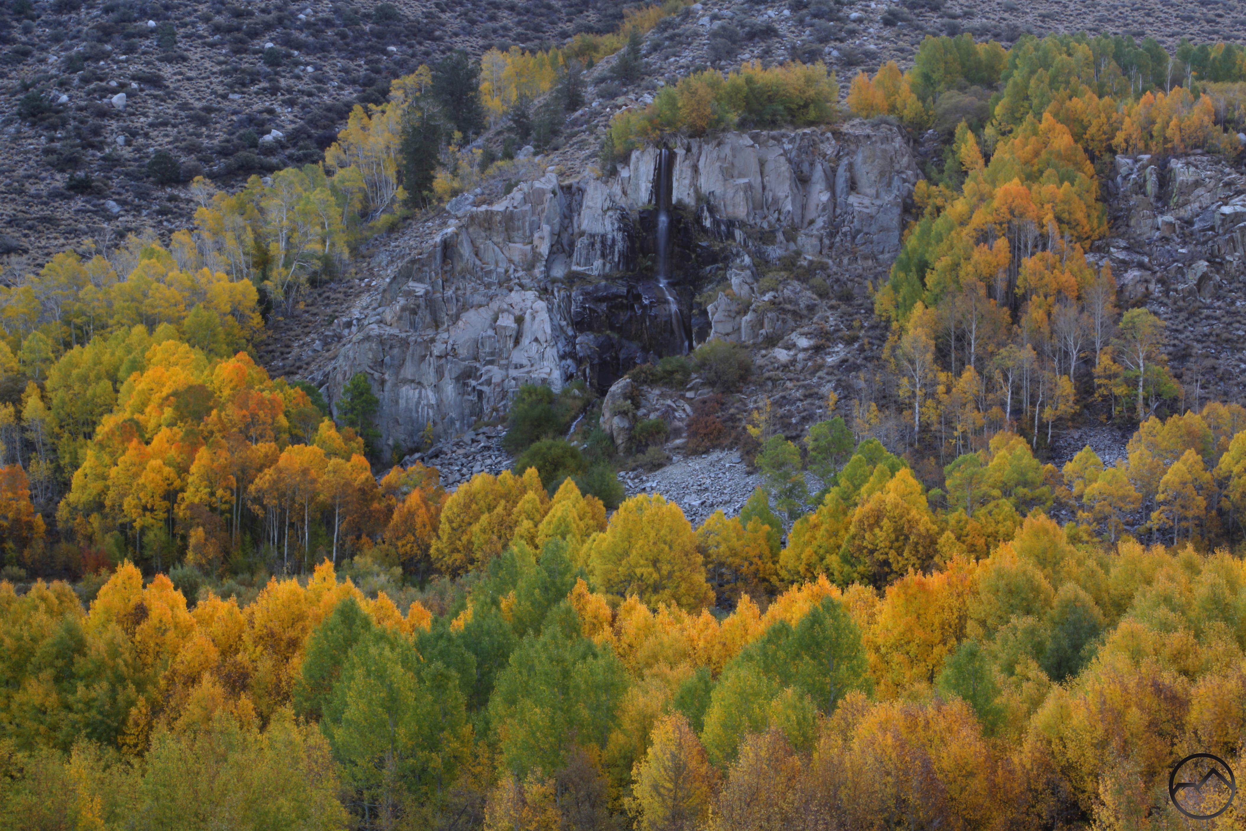 Northern California Review: Eastern Sierra Fall Color | Hike Mt. Shasta