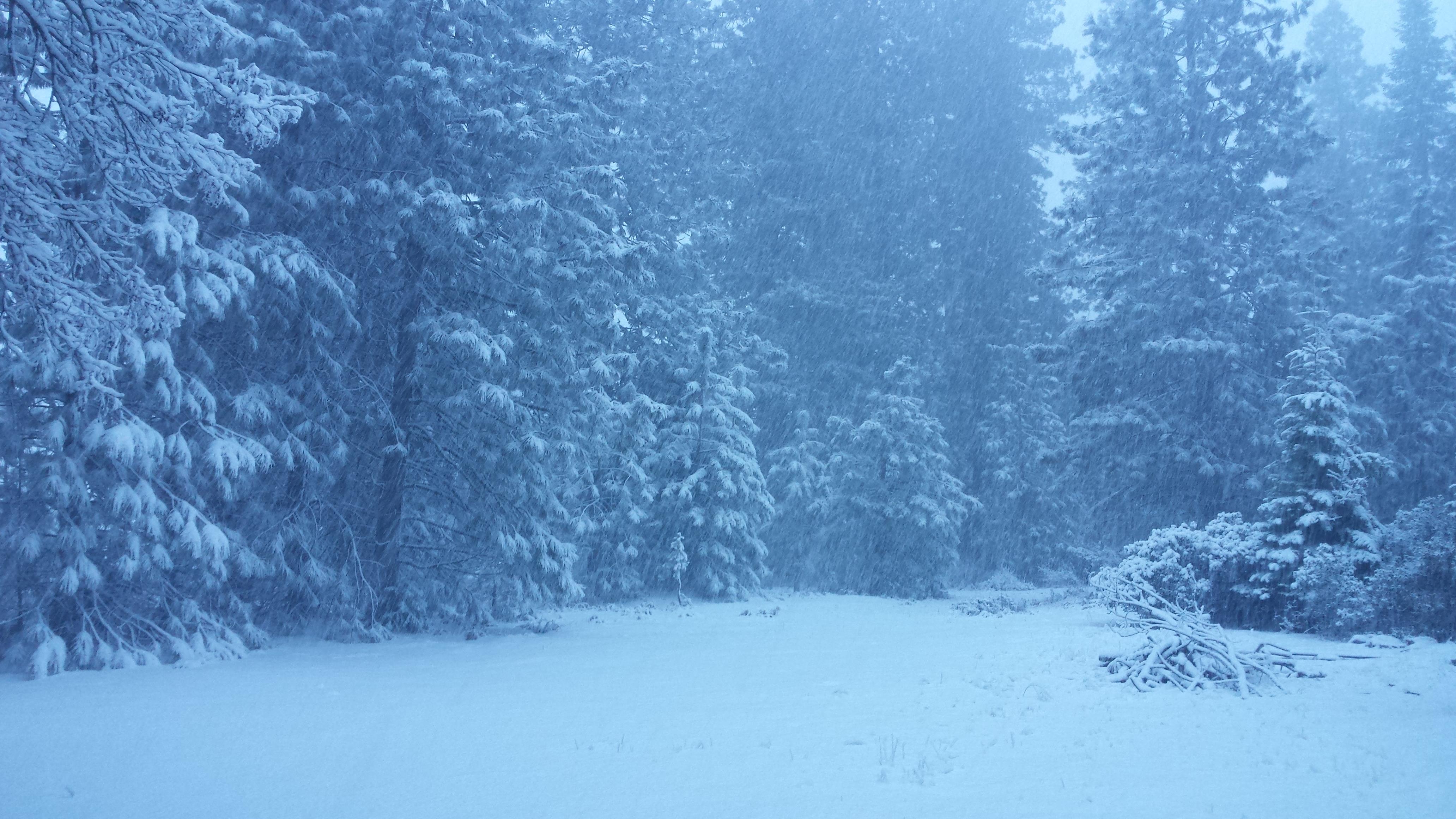 Snow! (Merry Christmas from HikeMtShasta) | Hike Mt. Shasta