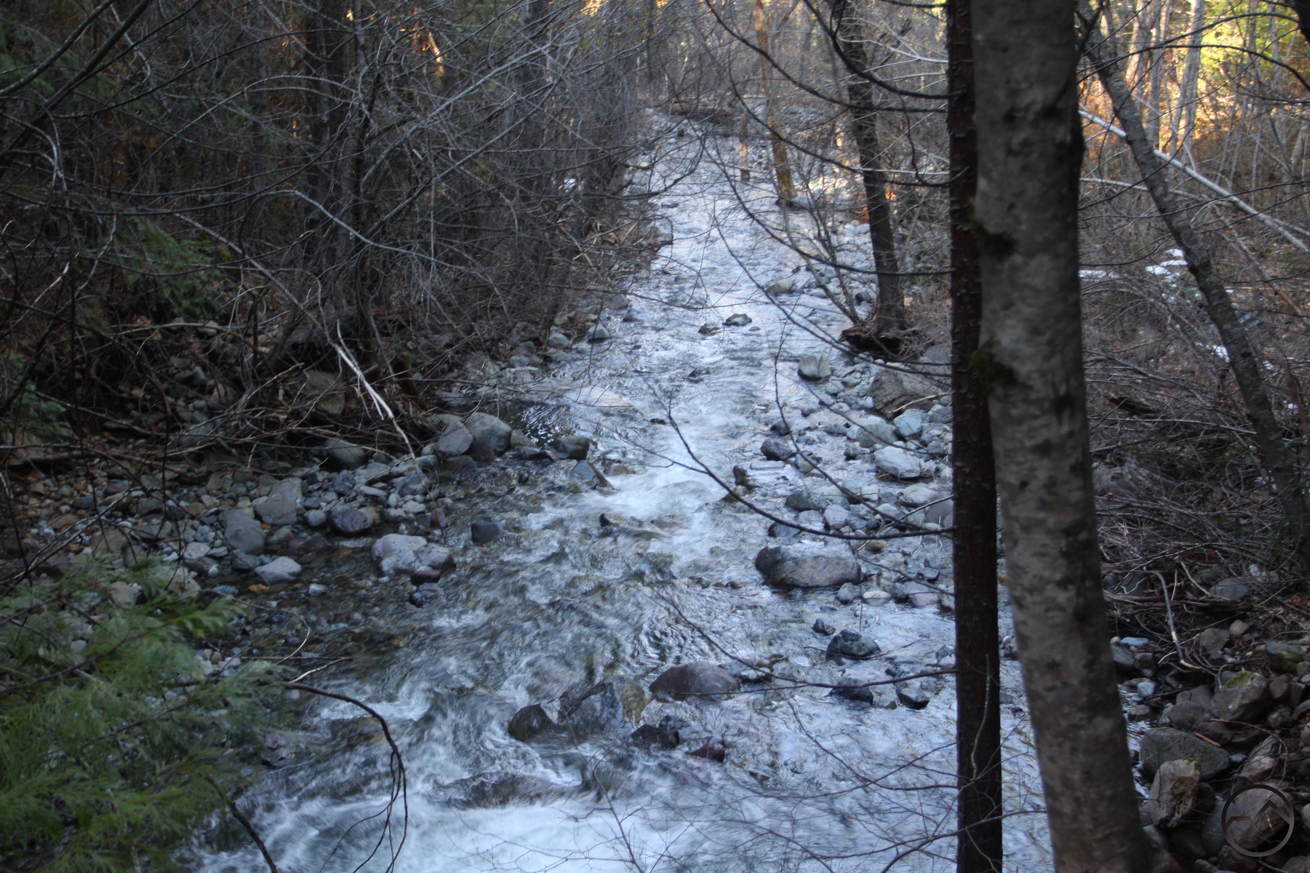 The Lost Creeks Of Lake Siskiyou | Hike Mt. Shasta