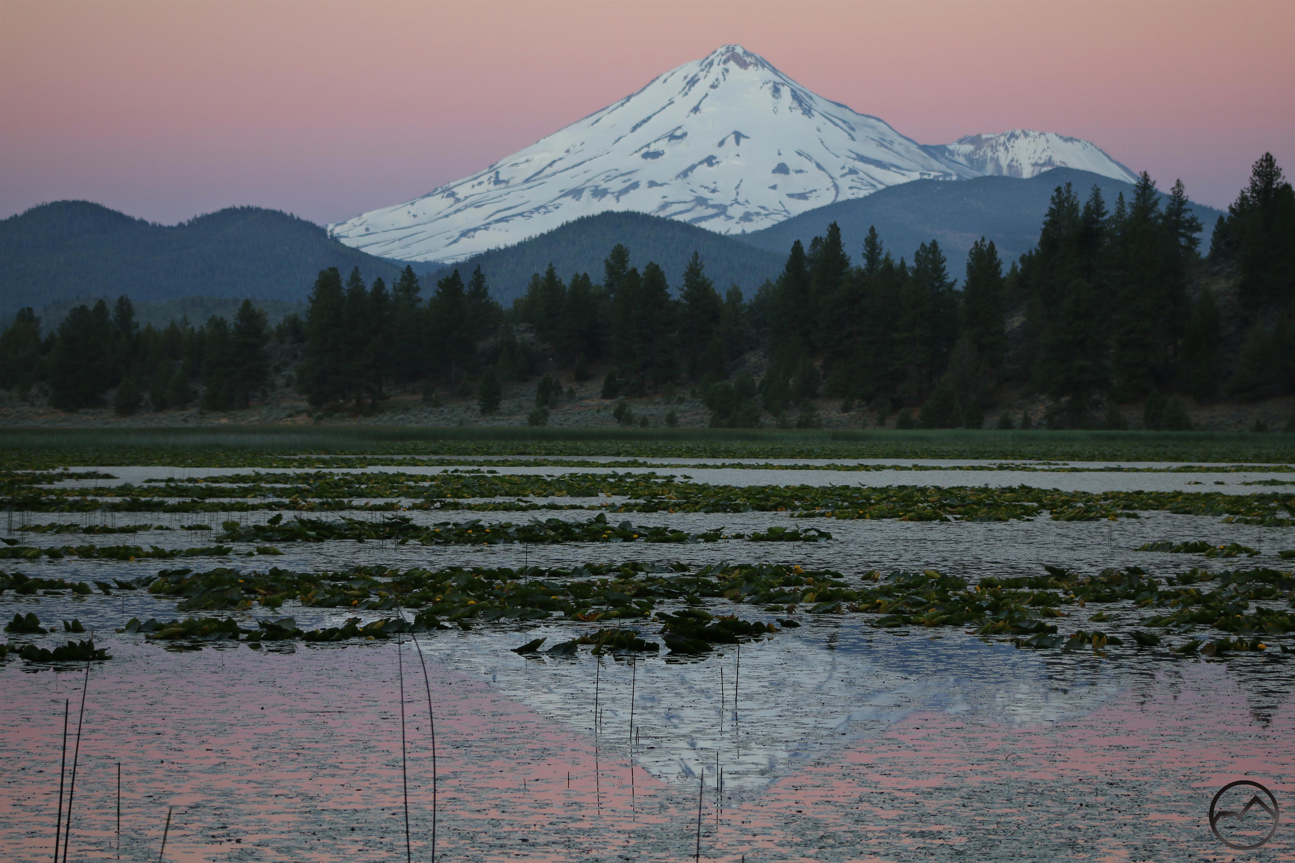 Whitney Creek Flowing Strong | Hike Mt. Shasta
