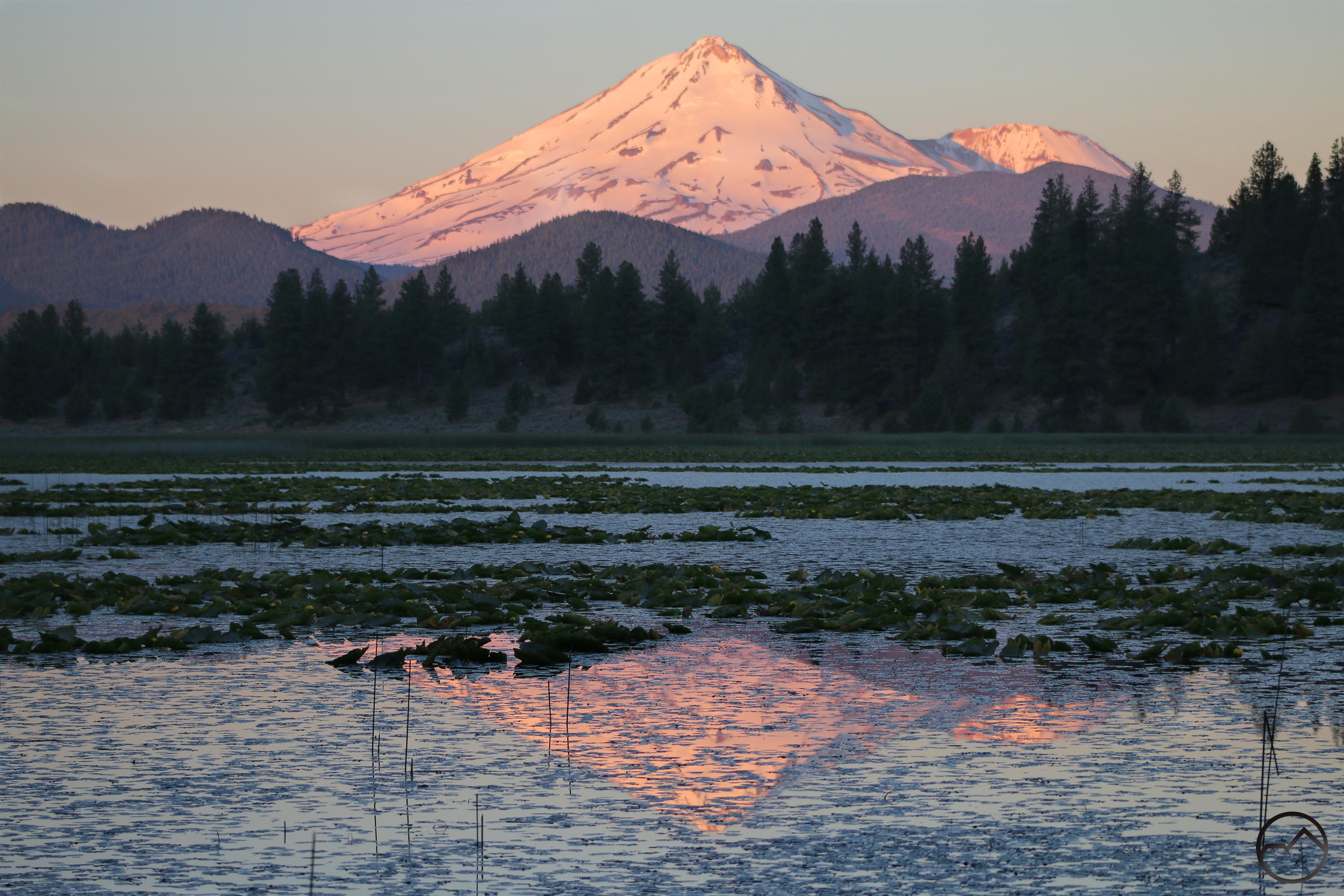Whitney Creek Flowing Strong | Hike Mt. Shasta
