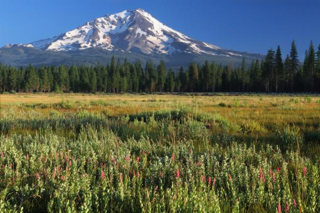 5 Mount Shasta Area Trails We Need To Build | Hike Mt. Shasta