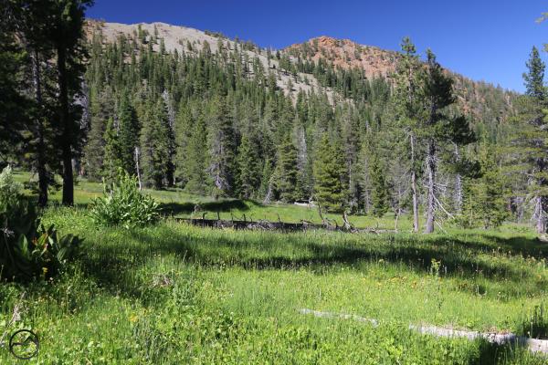 Toad Lake Trail | Hike Mt. Shasta