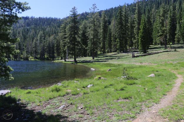 Toad Lake Trail | Hike Mt. Shasta
