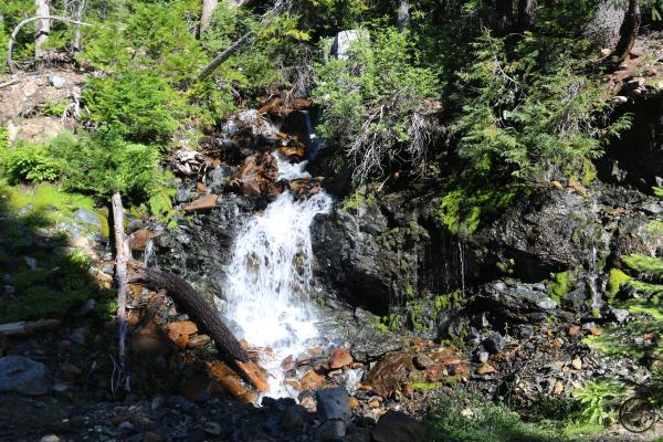 Toad Lake Trail | Hike Mt. Shasta