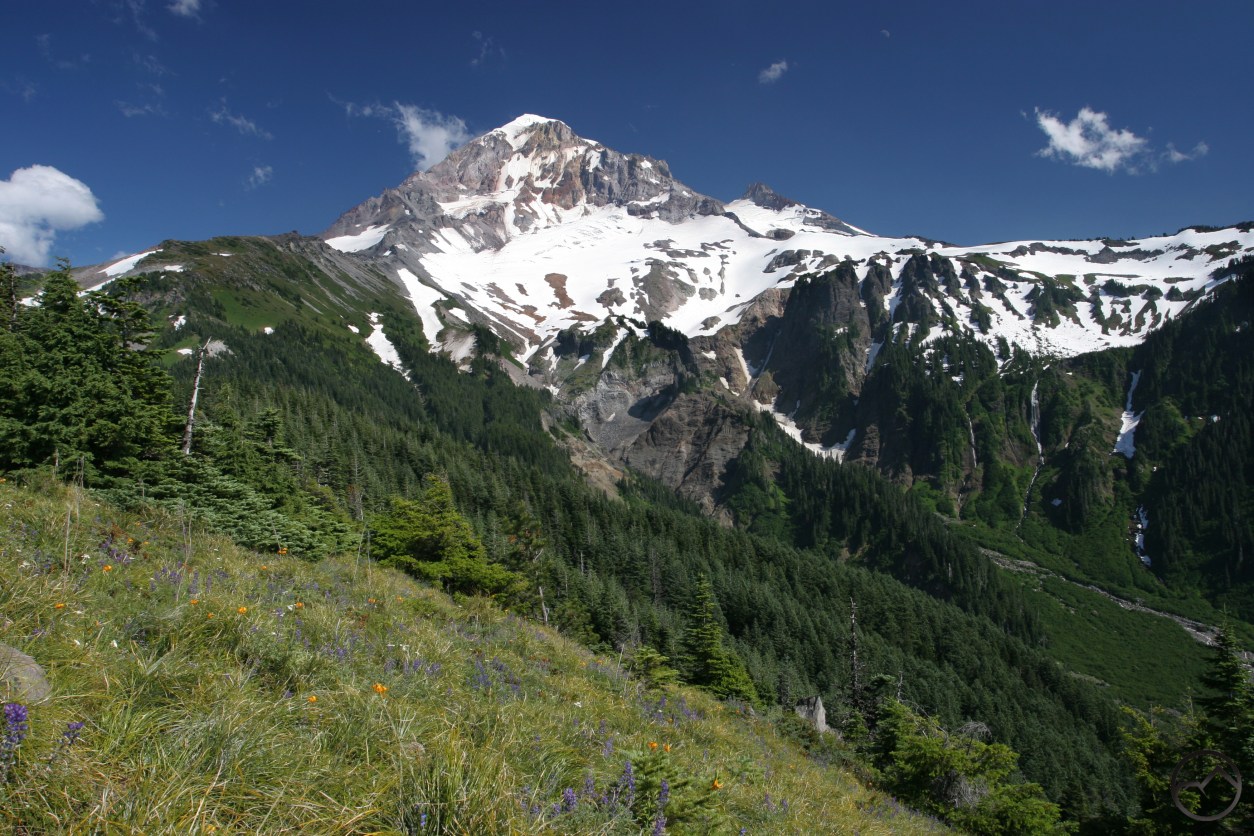 Mount Shasta, Timberline, And The Relative Size Of Cascade Volcanos ...