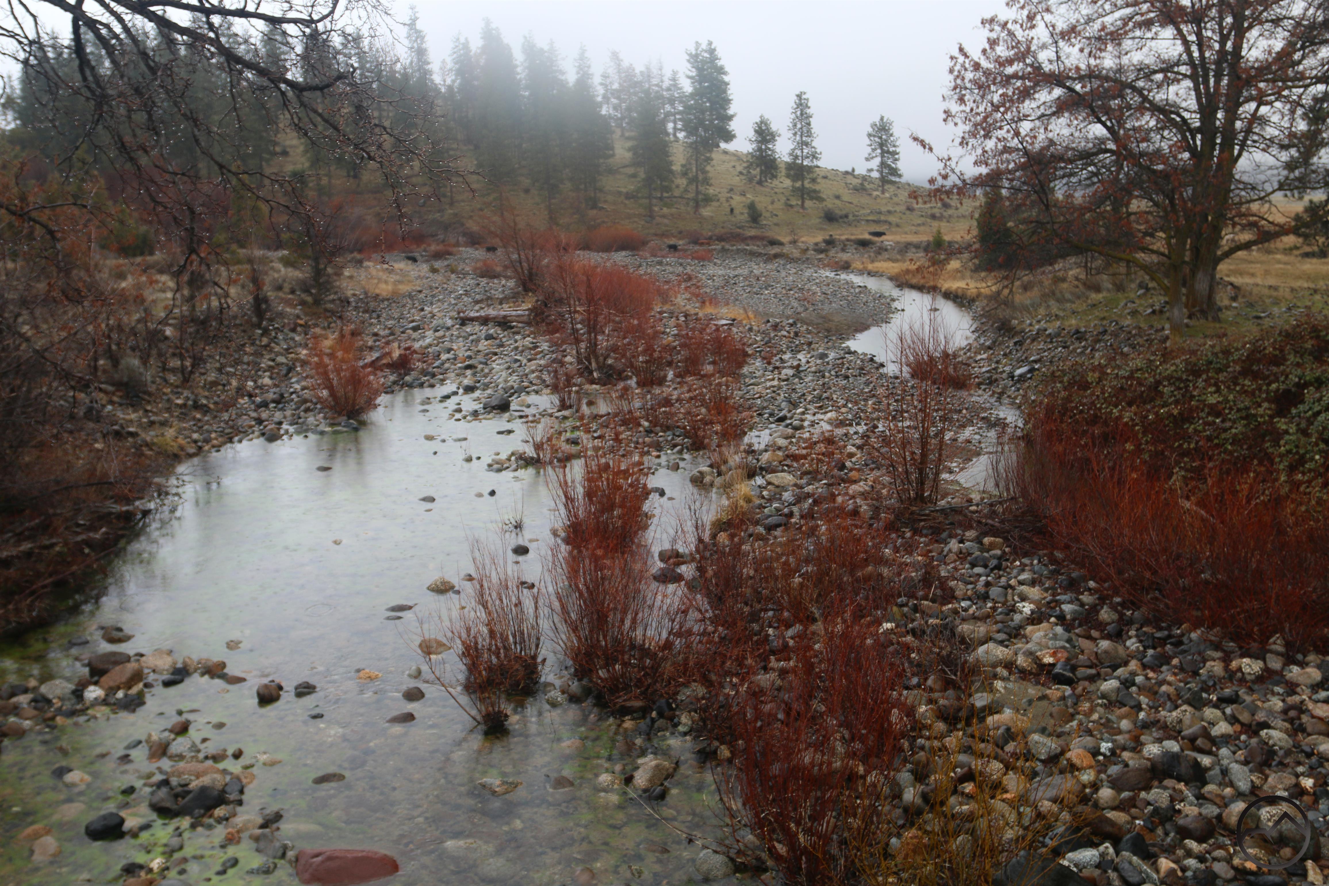 A Quick Look At Mount Shasta’s Northern River Conditions | Hike Mt. Shasta
