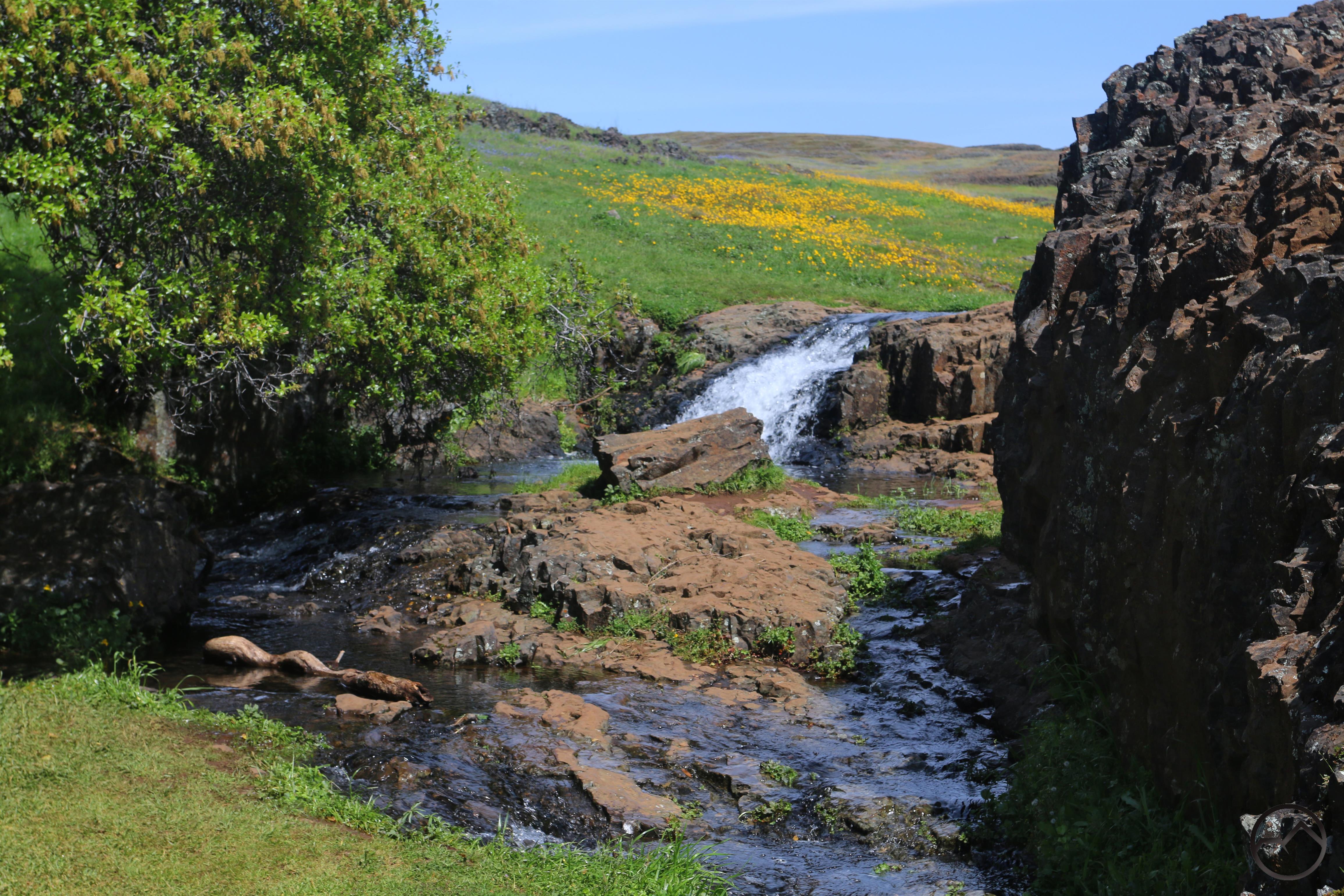Northern California Review: North Table Mountain | Hike Mt. Shasta