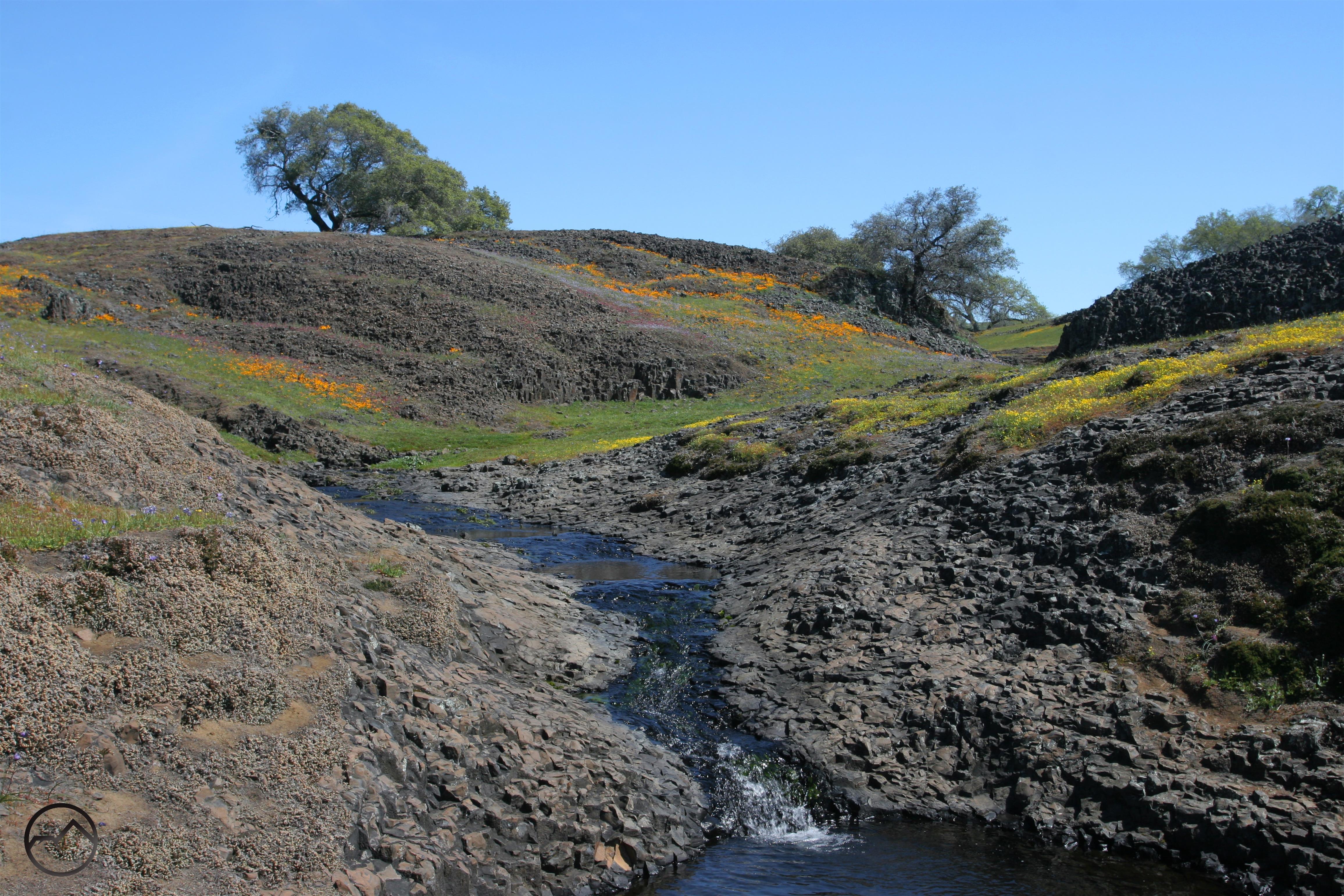 Northern California Review: North Table Mountain | Hike Mt. Shasta