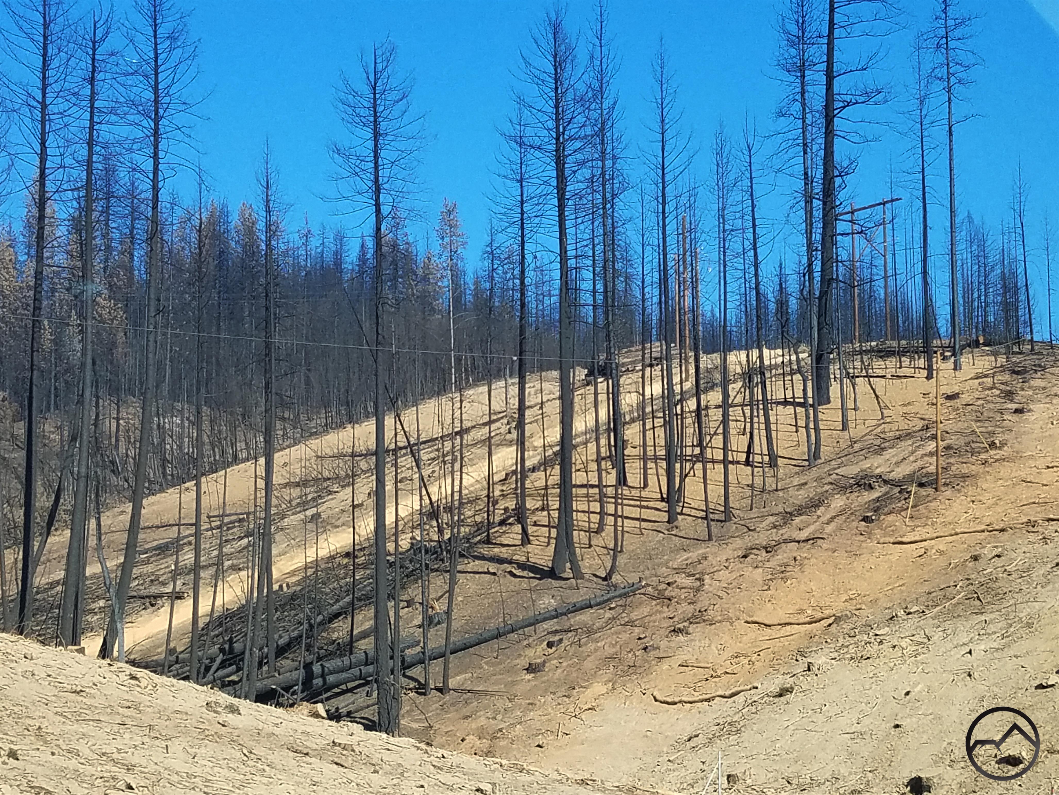 Delta Fire Damage – Scenes From The Sacramento River Canyon | Hike Mt ...