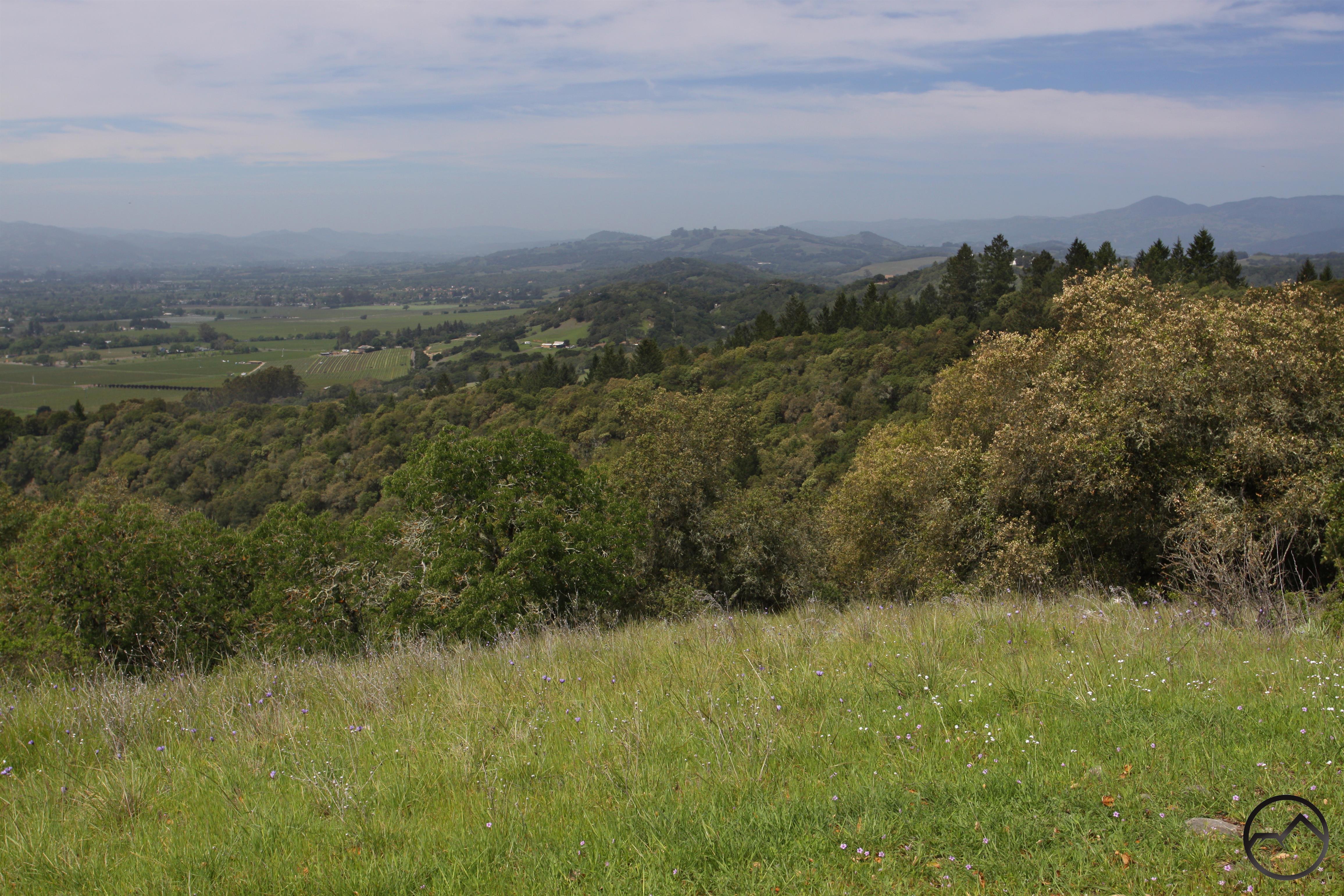Shiloh Ranch 1 (Custom) | Hike Mt. Shasta