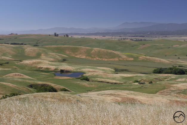 Tolay Lake Regional Park 2 (Custom) | Hike Mt. Shasta