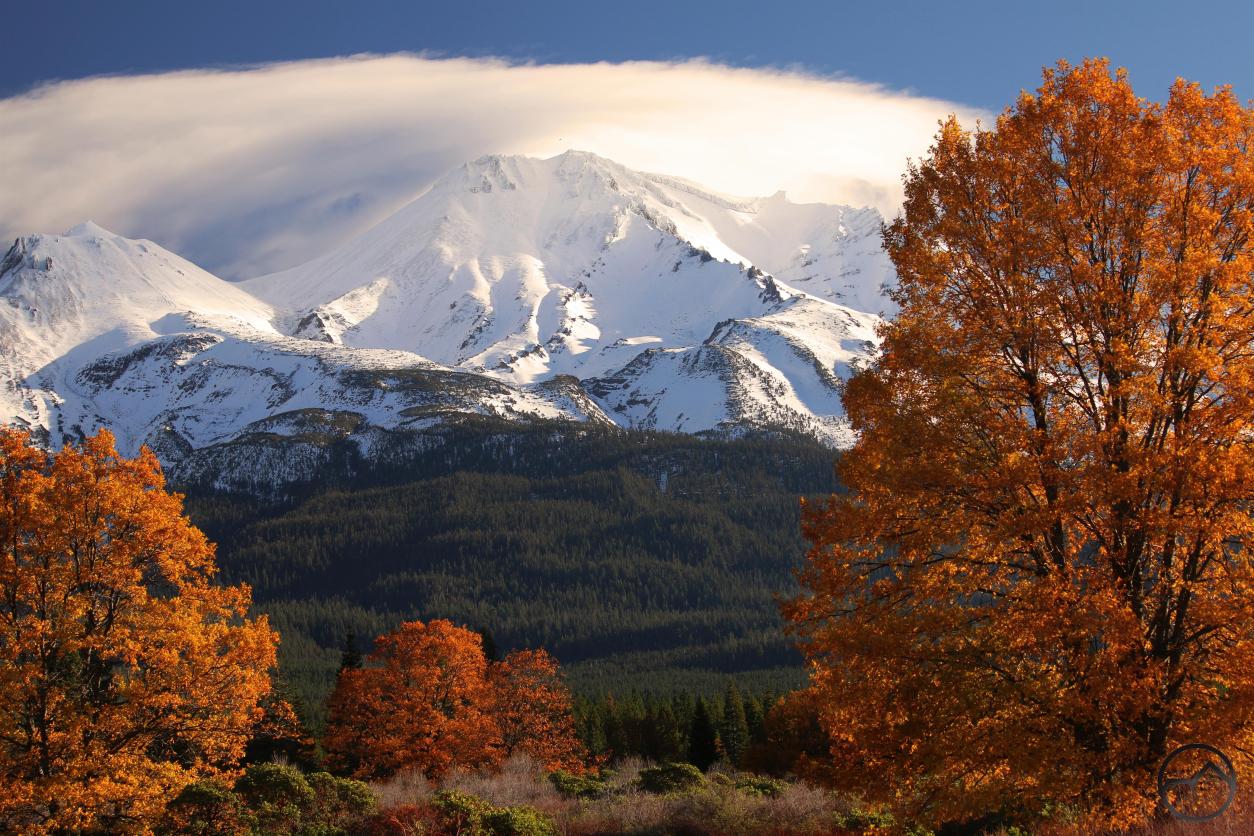 Mount Shasta Area Fall Color Gallery | Hike Mt. Shasta