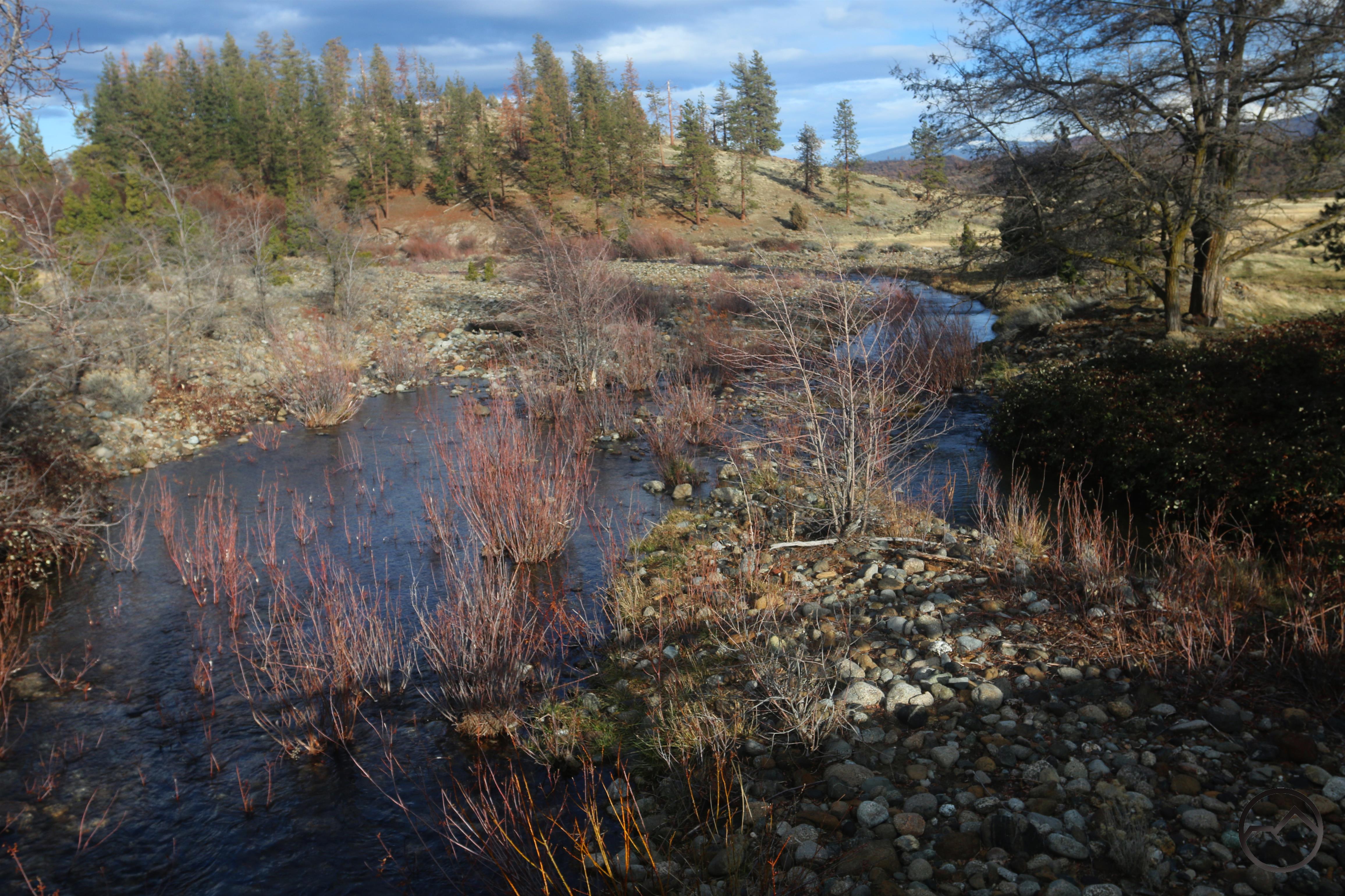 Cascades, Mt. Shasta – Dec2022 (834)b (Custom) | Hike Mt. Shasta