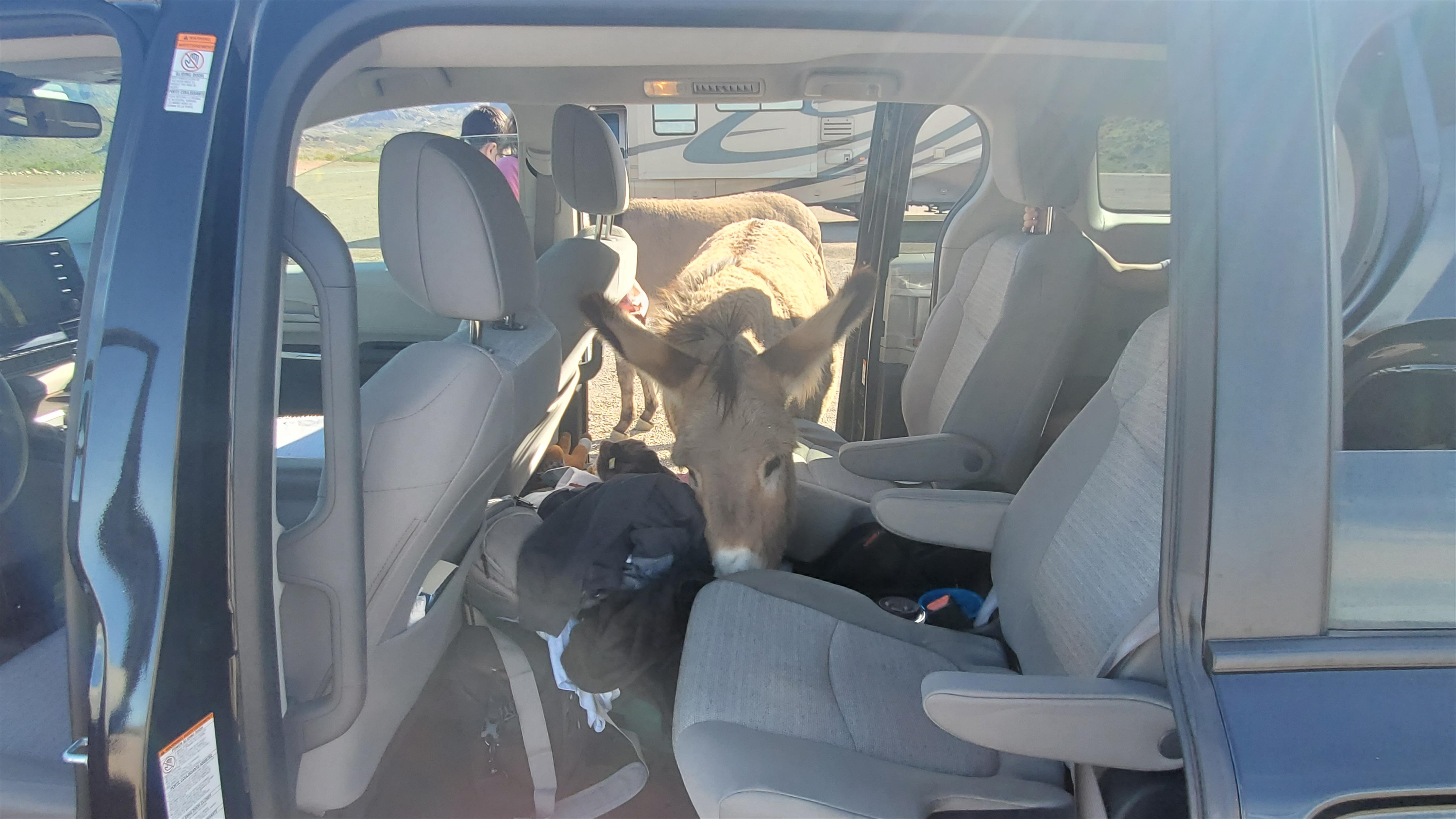 There’s Less Snow In Arizona | Hike Mt. Shasta