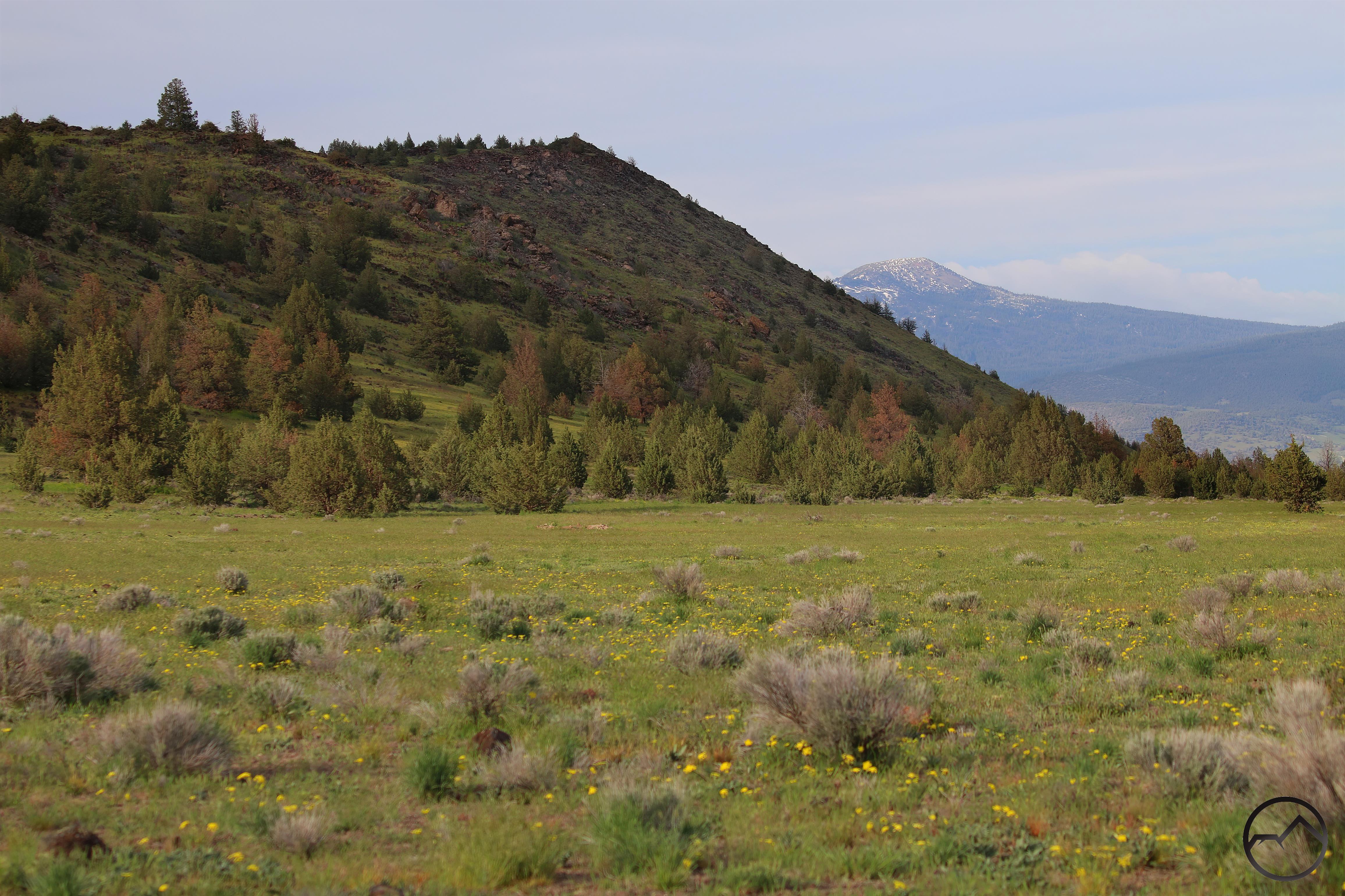 Mount Shasta Spring In Full Swing | Hike Mt. Shasta